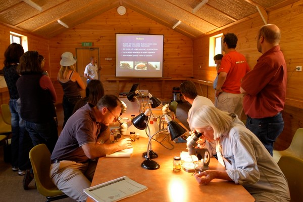 Alpine Ecology Course | Research Centre for Applied Alpine Ecology