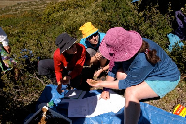 Alpine Ecology Course | Research Centre for Applied Alpine Ecology