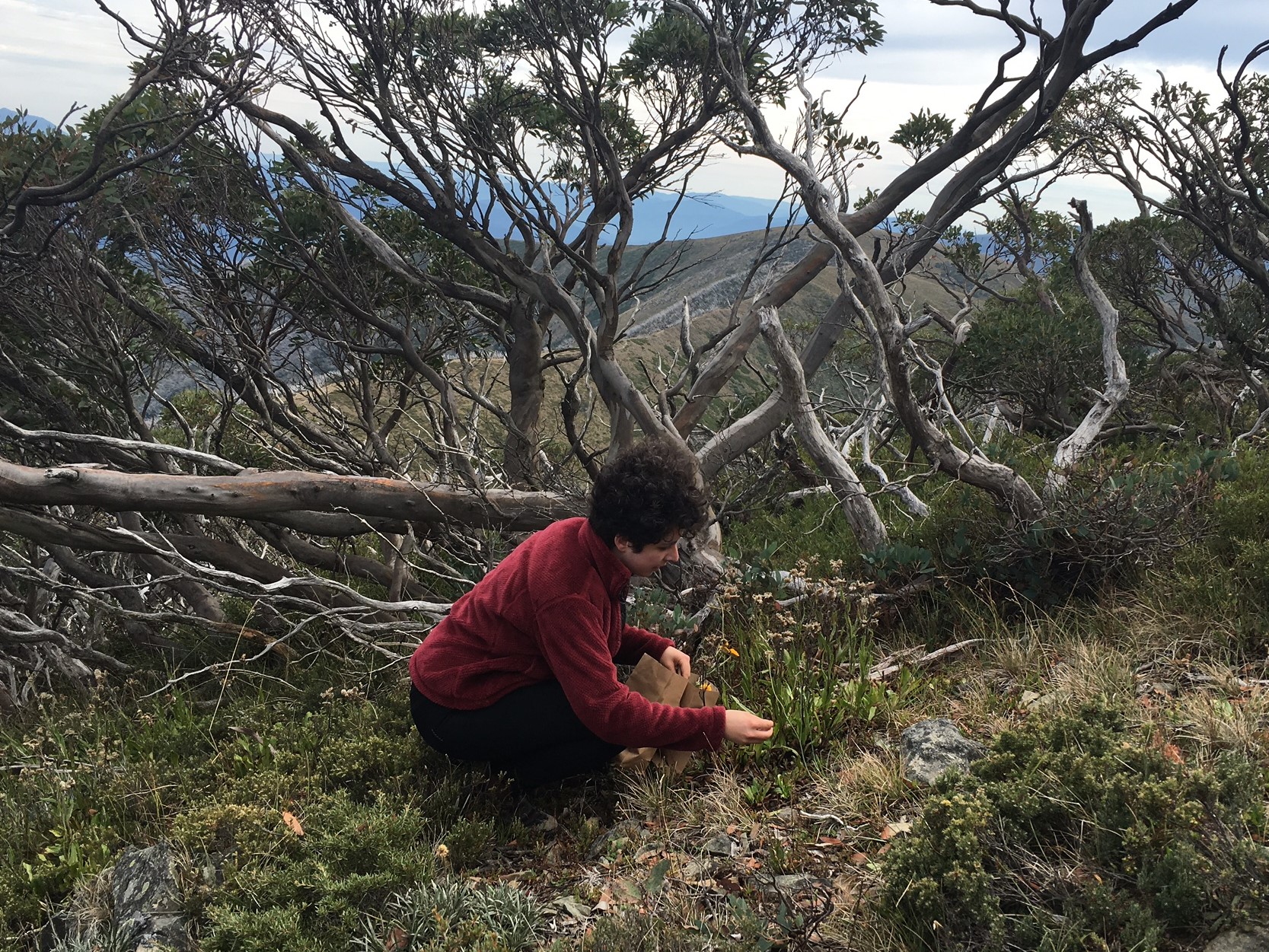 Congrats to Emma Sumner on her first class Honours! | Research Centre ...