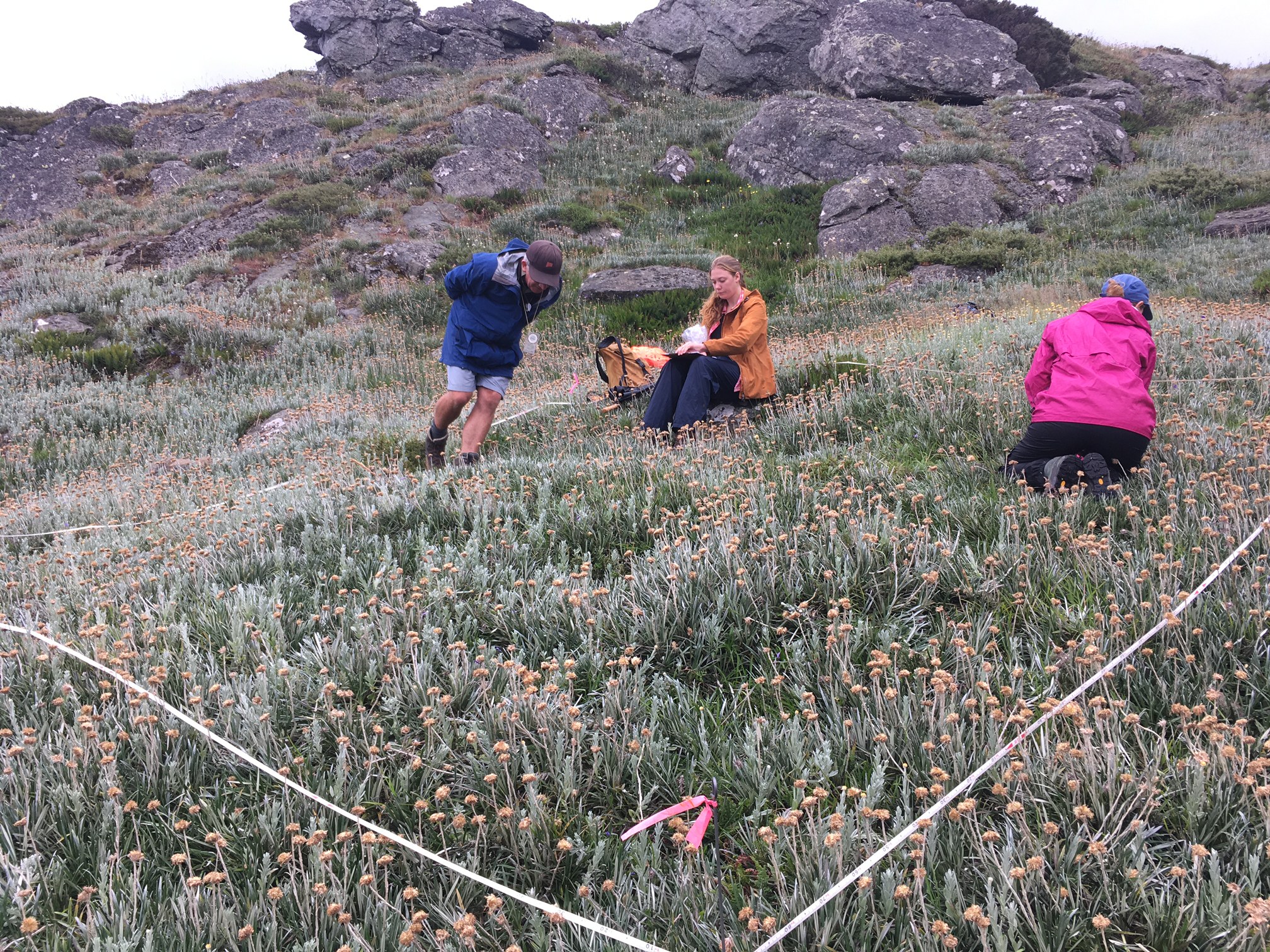 Members | Research Centre for Applied Alpine Ecology