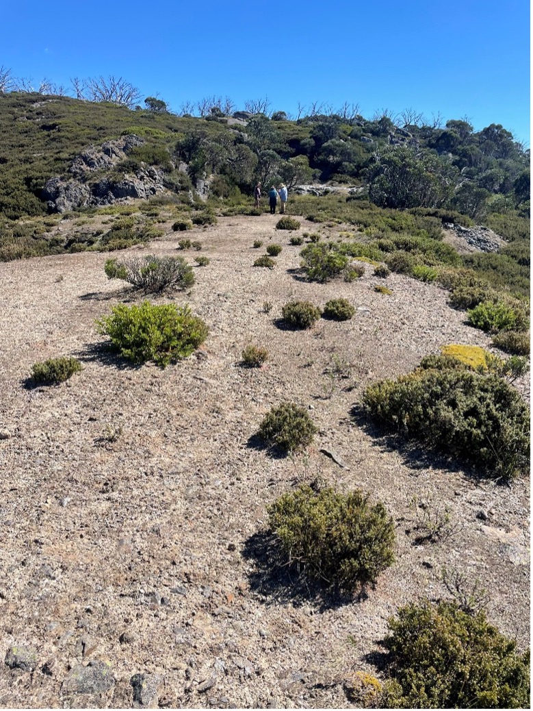 Alpine Course 2025 | Research Centre for Applied Alpine Ecology